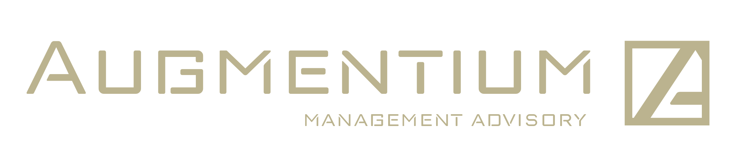 Augmentium ∣ Partners